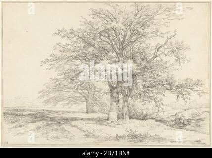 Landscape with three trees, Jan Hulswit, 1776 - 1822 drawing paper ...