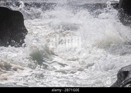 Frothy surf at Muriwai beach on New Zealand's north island Stock Photo ...