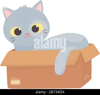 Cute white kitty in cardboard box. Funny cartoon cat sitting in box ...