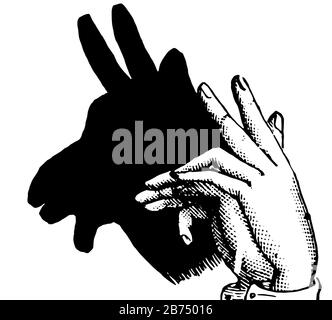 Goat illustration, drawing, engraving, line art, realistic Stock Vector Image & Art - Alamy
