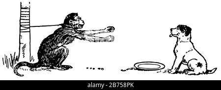 The monkey tied to wooden rod with rope, vintage line drawing or ...