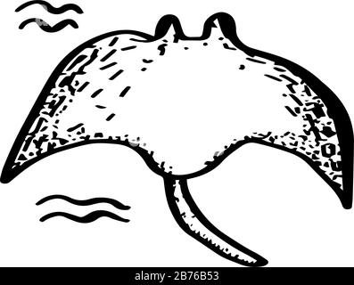 vector hand drawn blue ramp fish, head magnified Stock Vector Image ...