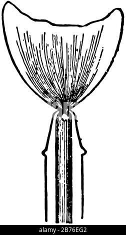 These are burners which spread their flame in a broad thin sheet, are ...