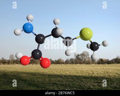 Methionine molecule, illustration Stock Photo - Alamy