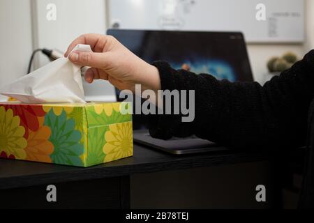 hand holding a disposable tissue, next to the tissue box in an office ...