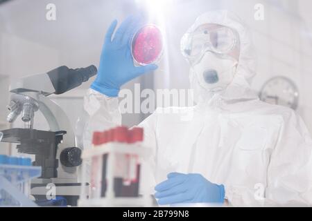 Female pharmacist with pipette examining at laboratory Stock Photo - Alamy