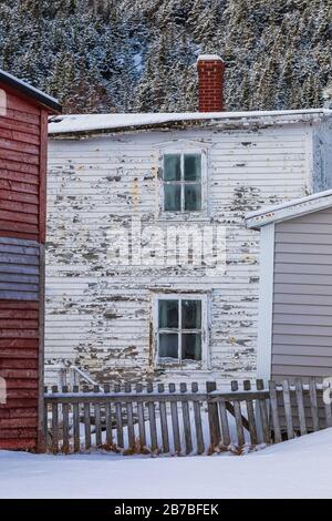 Traditional salt box houses in the fishing village of Salvage ...