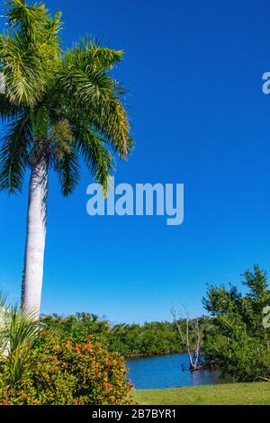 Gardens with palm trees and fresh water fountains in the medieval ...