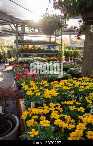 The Sloat Garden Center is a nursery chain which sells many different ...