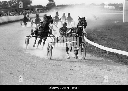 HORSE AND TRAP RACING Stock Photo - Alamy