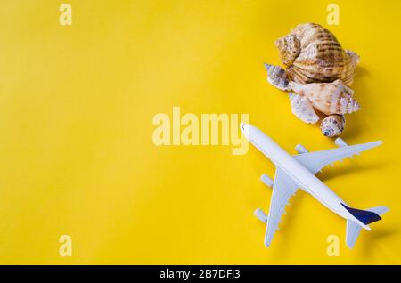 Summer travel concept. Decorative airplane and different seashells on ...