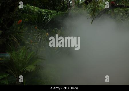 Artificial mist seen in the tropical orchid garden Stock Photo - Alamy