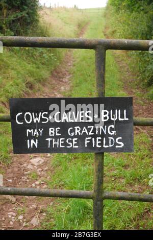Beware of the bull warning sign bull in field on farm fence, wales UK ...