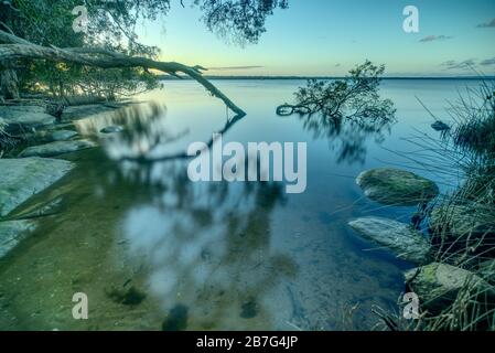The Lake Cootharaba vegetation near the Noosa's Everglade, Australia ...