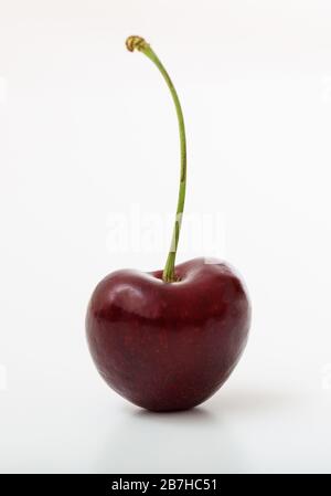Red cherry. Ingredient for jam. Stem berry isolate. Several berries are ...