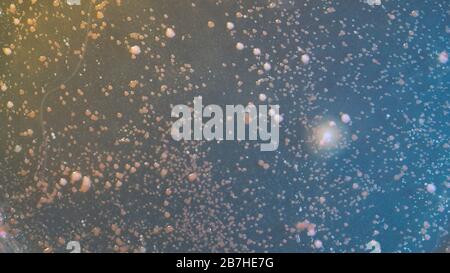 close up petri of dish with microbe colony Stock Photo - Alamy