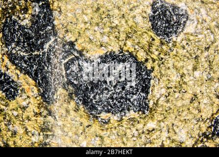 Serpentine mineral under the microscope Stock Photo - Alamy