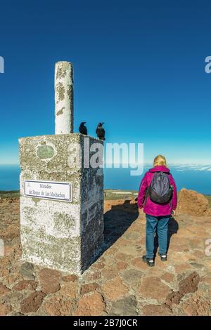 Raven At Caldera de Taburiente La Palma Spain Stock Photo - Alamy