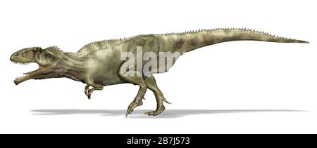 Giganotosaurus Dinosaur on white background Stock Photo - Alamy