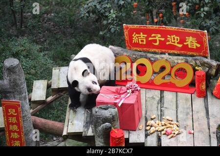 Xinxing, the longest-lived giant panda who was born in 1982, celebrates ...