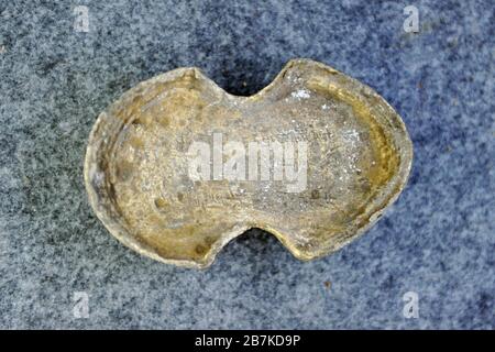 An ancient Chinese silver ingot of Ming Dynasty is on display at the ...