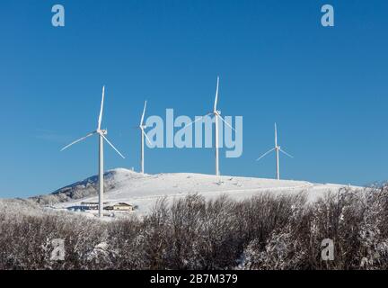Frozen wind turbines in mountain high Stock Photo - Alamy