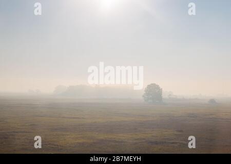Autumn weather. Dense Fog in the field Stock Photo - Alamy
