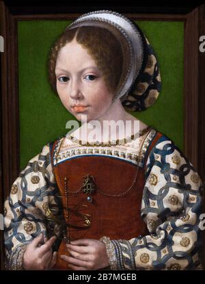 Jan Gossaert was a Flemish painter of the Northern Renaissance, known ...