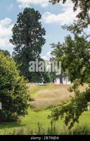marks hall garden colchester essex england uk Stock Photo - Alamy