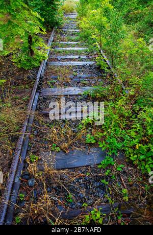 Vegetation grows over disused railway tracks, Styria, Austria Stock ...