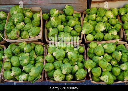 Containers of fresh organic green Brussels sprouts at the farmers ...
