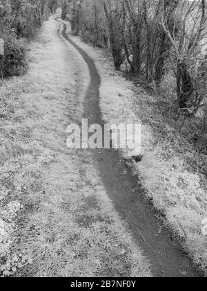 Black and White Landscape, Grims Ditch, The Ridgeway Path, Nufield ...