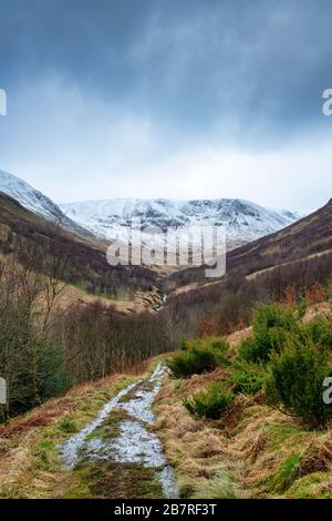 Carrifran Wildwood in late winter. Moffat Dale, Dumfries & Galloway ...