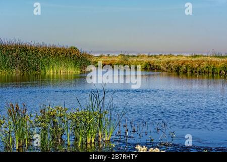 Alviso Marina County Park, view of Salt Pond A12; Alviso, San José ...