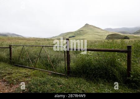 Metal fence and farm gate leading into grassy field, the Netherlands ...