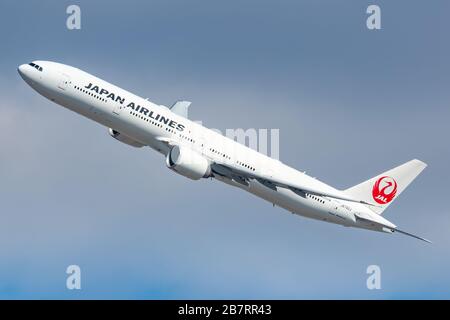 Japan Airlines Boeing 777 airplane taking off on runway. Aircraft 77W of Japan Airlines / JAL ...