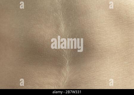 Belly. Detailed texture of human skin. Close up shot of young caucasian ...