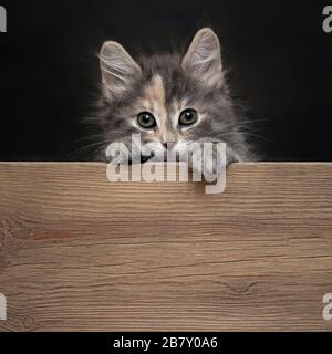 Empty wooden board square and beautiful mountain nature scenery in ...