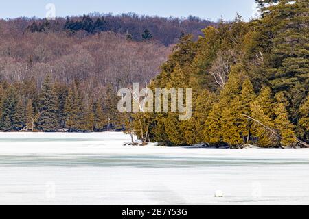 Chelsea Quebec Canada in winter Stock Photo - Alamy