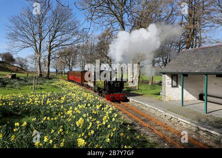 The Talyllyn Railway Stock Photo - Alamy