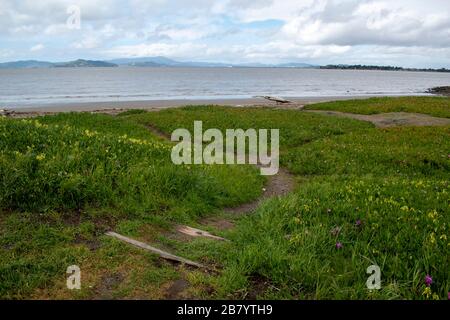 Point Emery is a small park that extends into the bay in Emeryville, CA ...