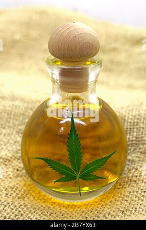 Cannabis oil hemp oil with fresh cannabis leaf on bright background ...