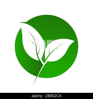 Two leaf logo Stock Vector Image & Art - Alamy