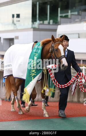 Aichi, Japan. 14th Mar, 2020. Shine Garnet (Hironobu Tanabe) Horse ...