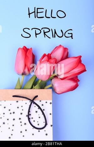 Pink tulips in pink paper bag. Copy space. Mothers Day, Birthday ...