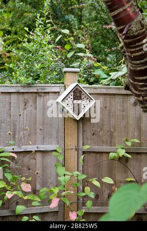 Overwintering insect hide Stock Photo - Alamy