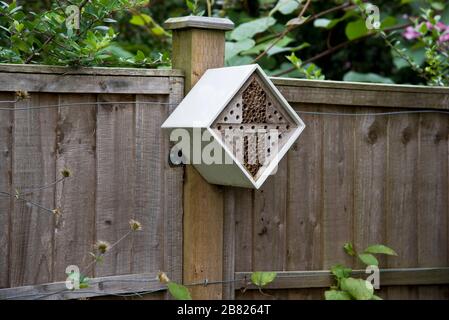 Overwintering insect hide Stock Photo - Alamy