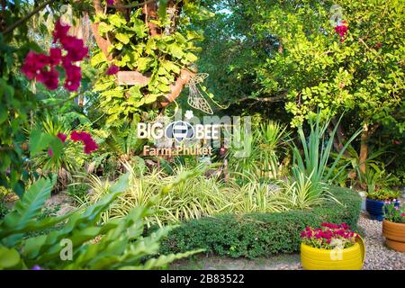 Big Bee - Tiger Bee Honey Farm Phuket, Thailand Stock Photo - Alamy