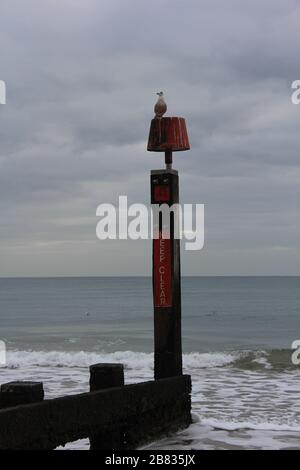 Seagull stretching its wings, standing on post at Takapuna Boat Ramp ...