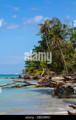 Stunning beauty of Caribbean coast, Costa Rica Stock Photo - Alamy
